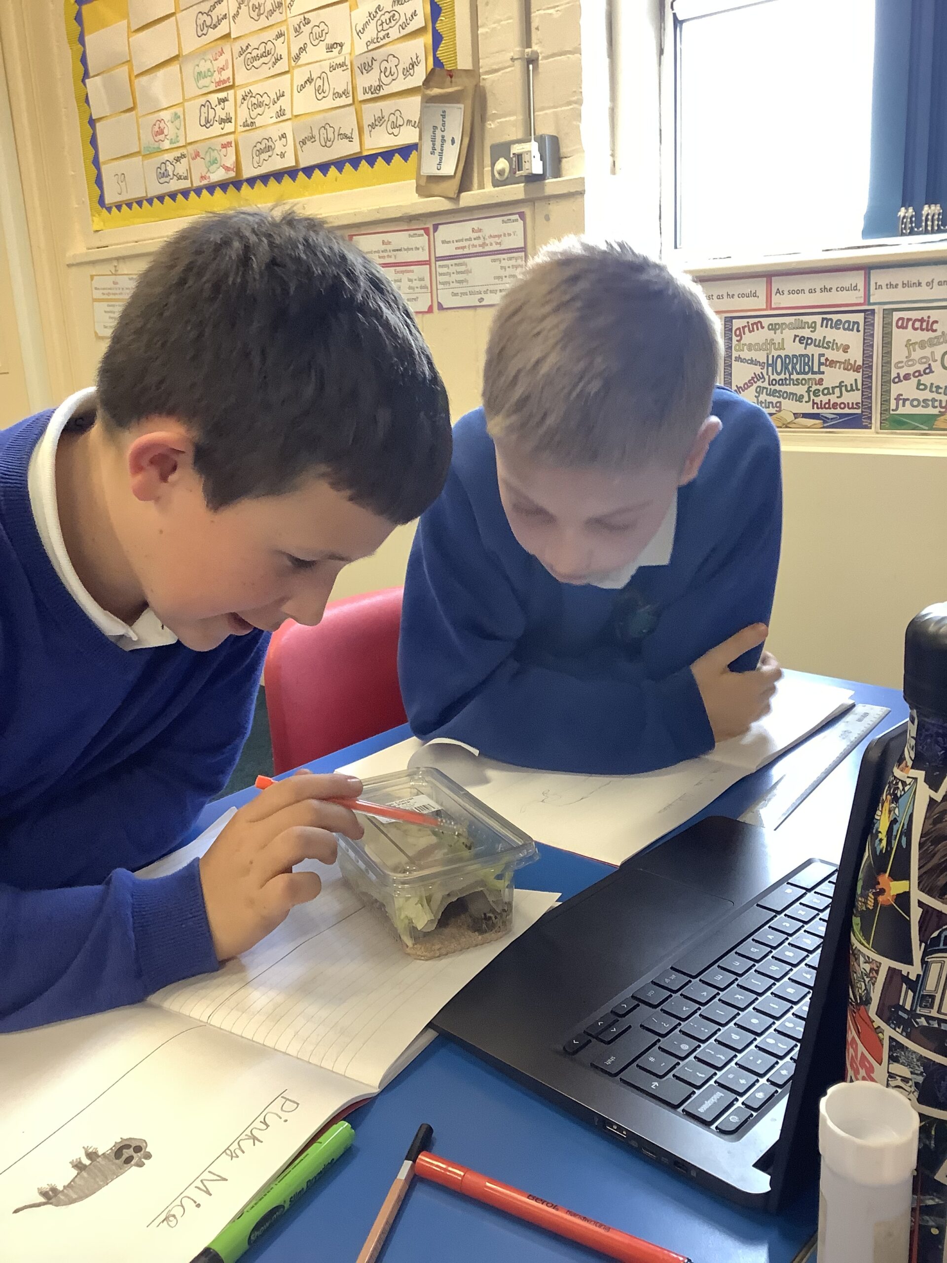 Premium Spends – Reedness School
