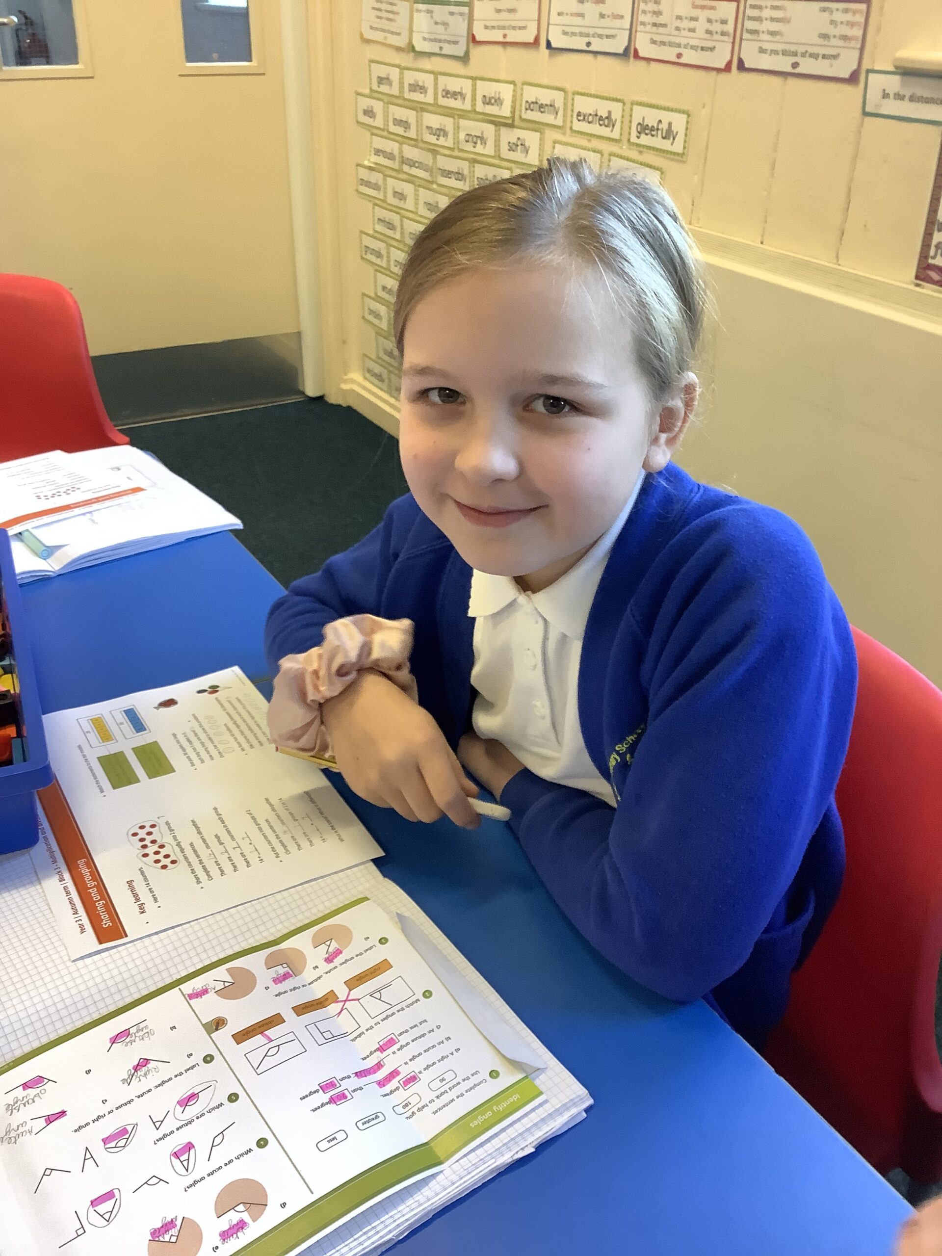 Maths – Reedness School