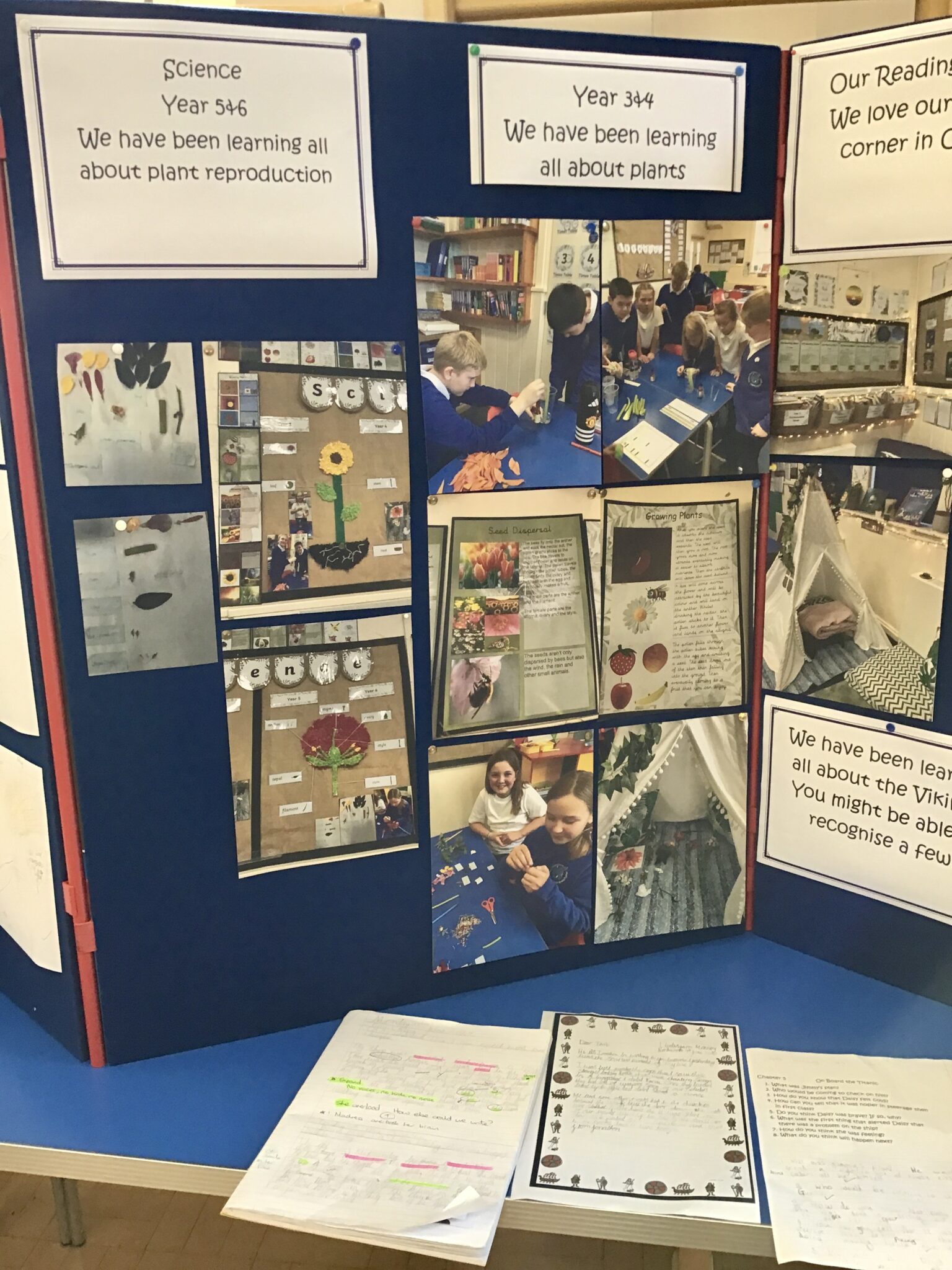 Curriculum Aim – Reedness School